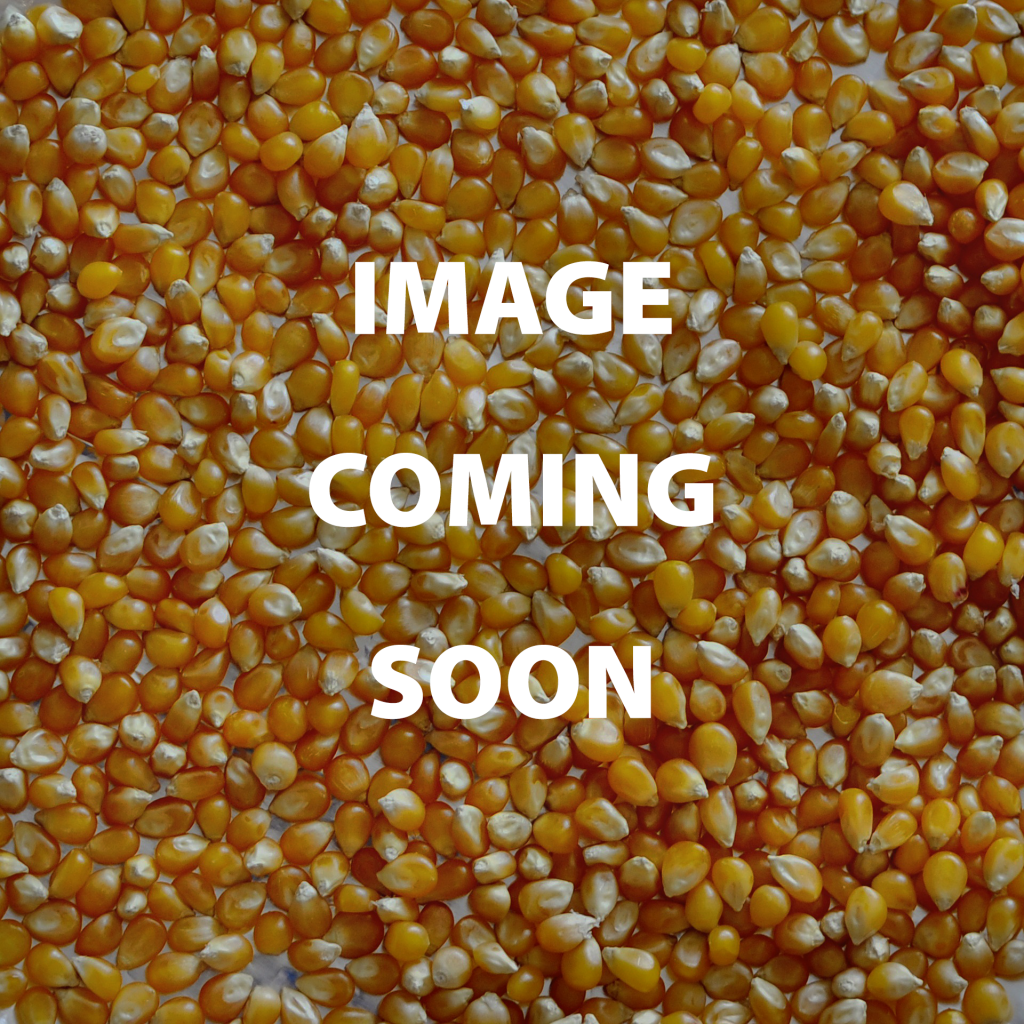 King Korn – Family Owned & Made Fresh Daily